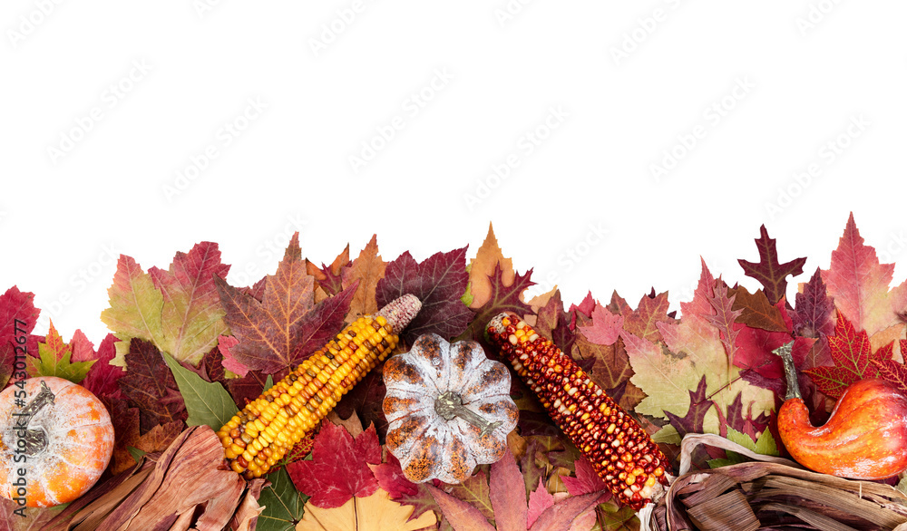 Autumn or fall leaf border with leaves and gourds on transparent ...