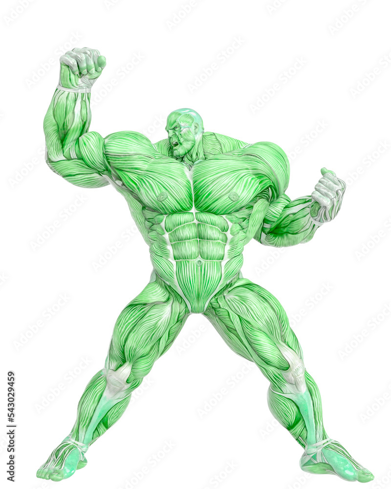 muscle maps of a strong man doing a super power pose Stock Illustration ...