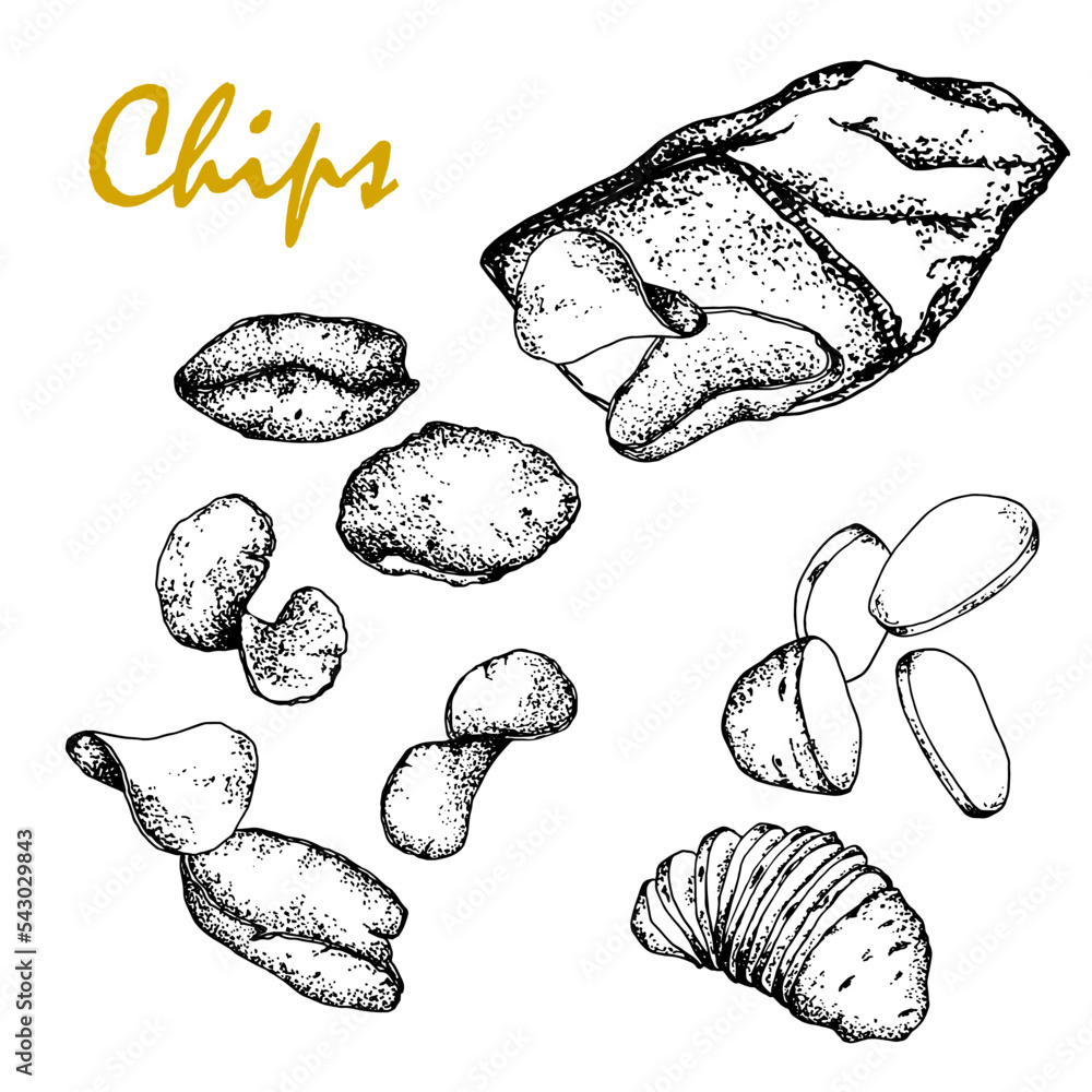 Chips.Black and white sketch, hand drawn, Vector, isolated on white ...