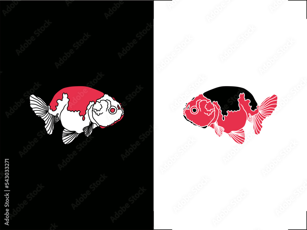 ranchu goldfish in high contrast card for kids Stock Vector | Adobe Stock