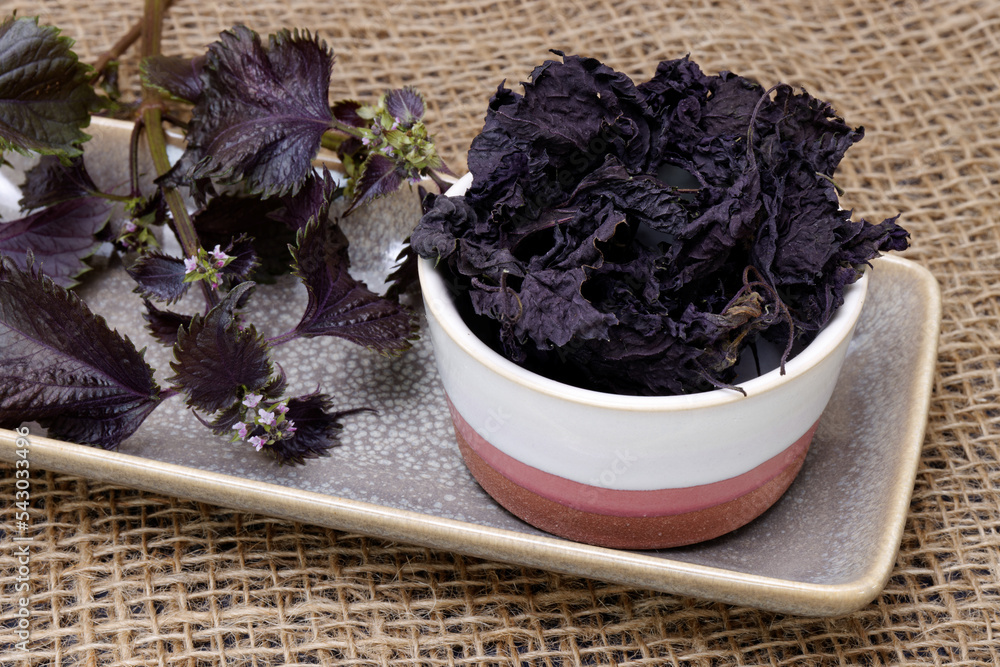 Dried shiso (perilla) leaves in a bowl. Purple herb leaf ingredient in ...