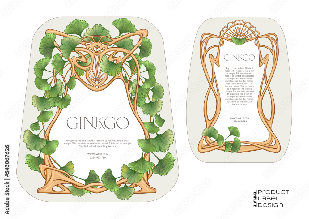 Ginkgo biloba leaves. Border, art nouveau frame, template for product ...