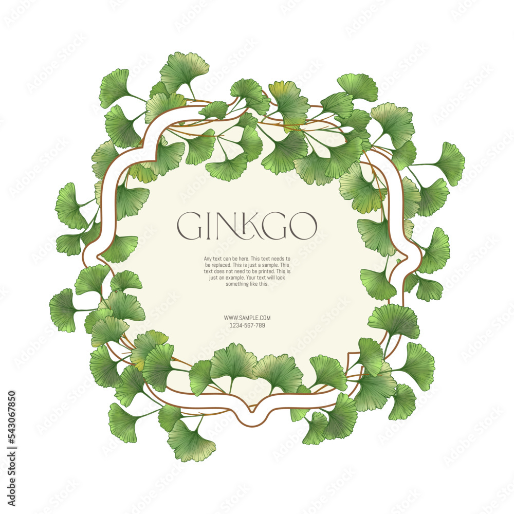 Ginkgo biloba leaves. Border, frame, template for product label ...