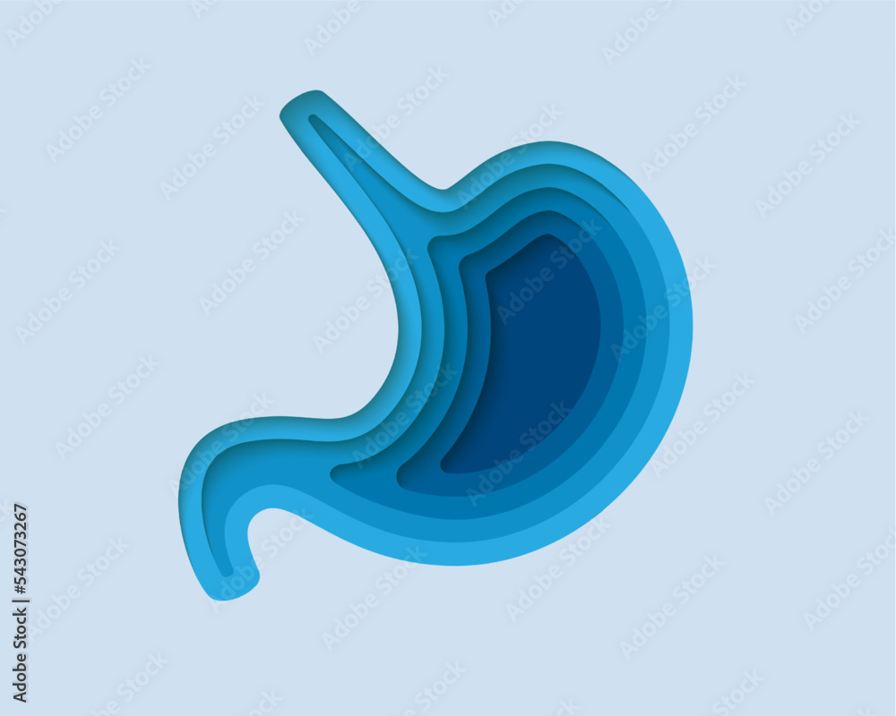 Stomach 3d symbol in paper cut style. Digestive system, human ...