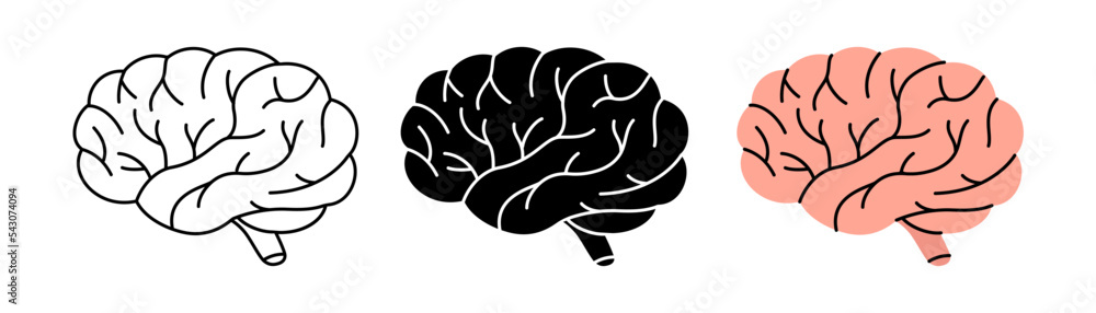 Set of human brain symbols. Human brain icons in color, black and thin ...