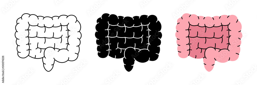 Set of human intestines symbols. Human intestines icons in color, black ...