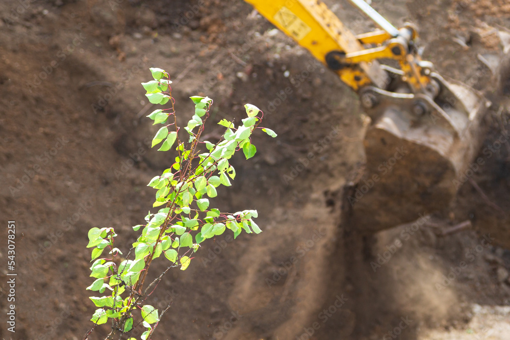 Protection of green spaces and parks from destruction from developers ...