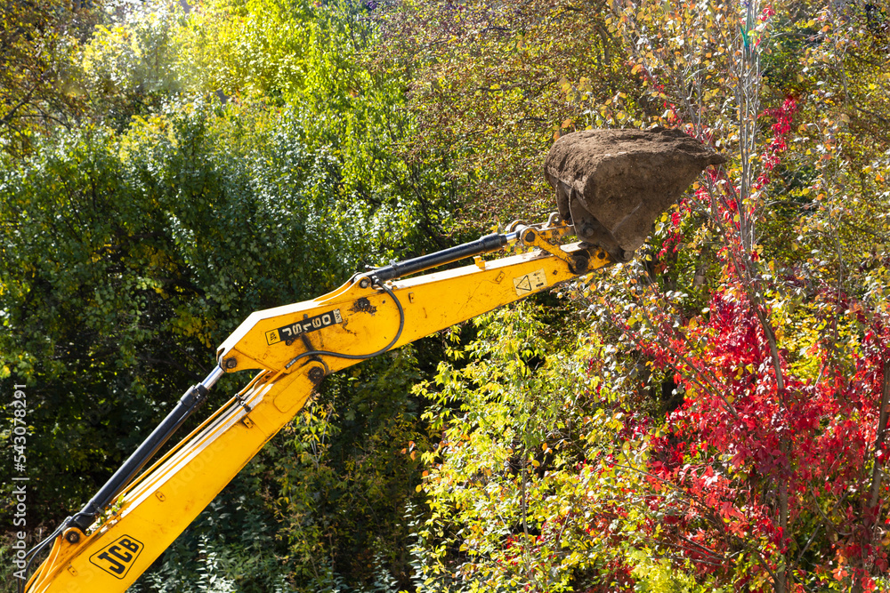 Excavator breaks green trees. Protection of green spaces and parks from ...
