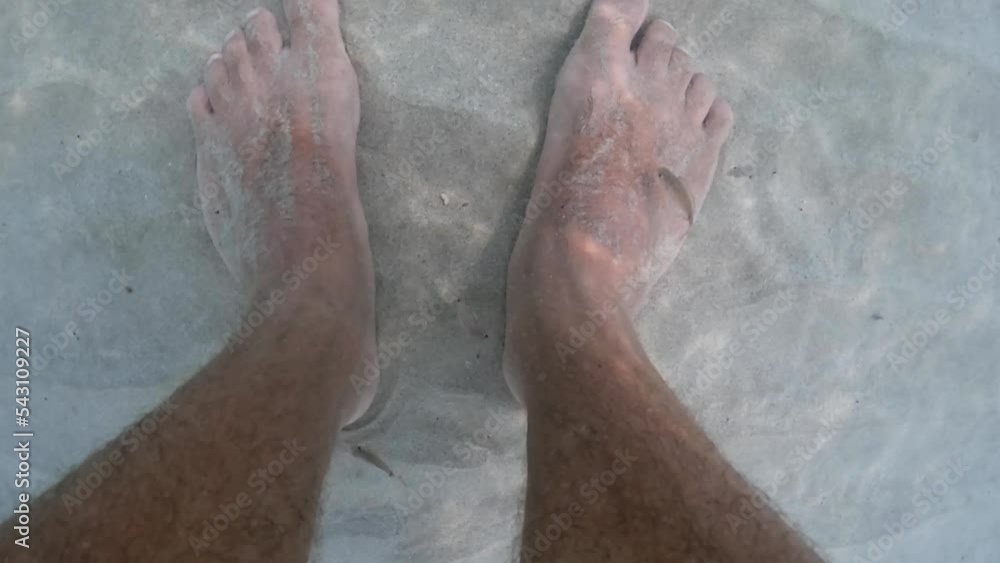 Underwater slow motion footage of tiny fish eating human legs and feet ...