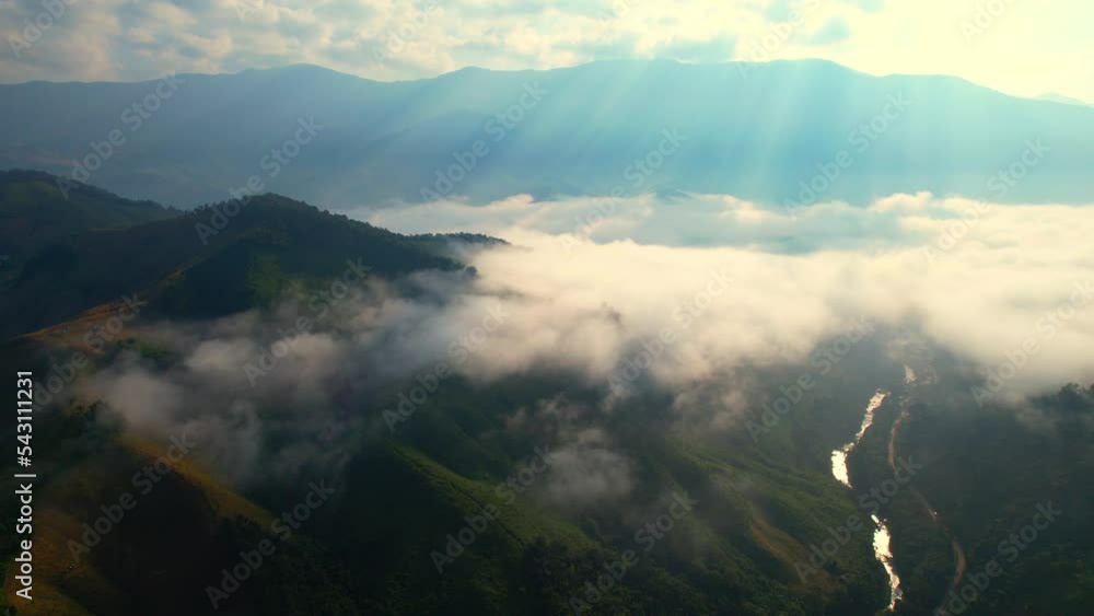 Drone is flying over a tropical forest in the morning. Sunlight shines ...