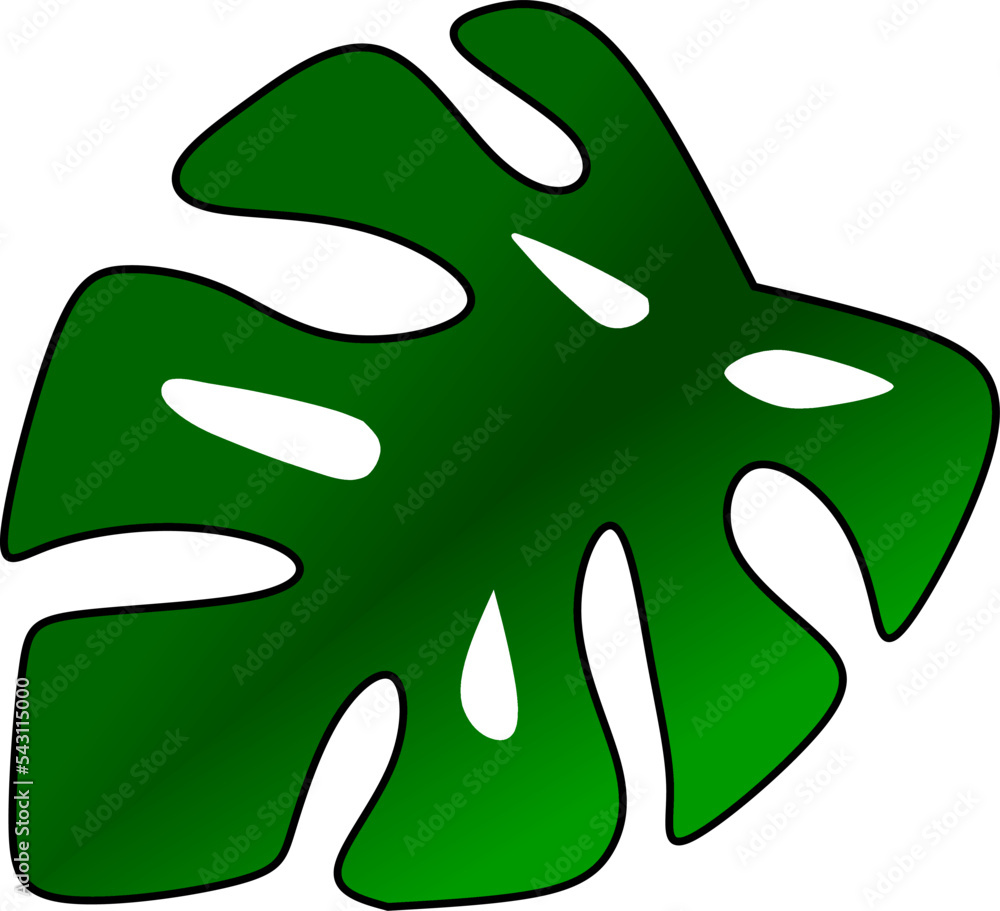 Monstera leaf isolated vector illustration. Hollow leaf plant vector ...