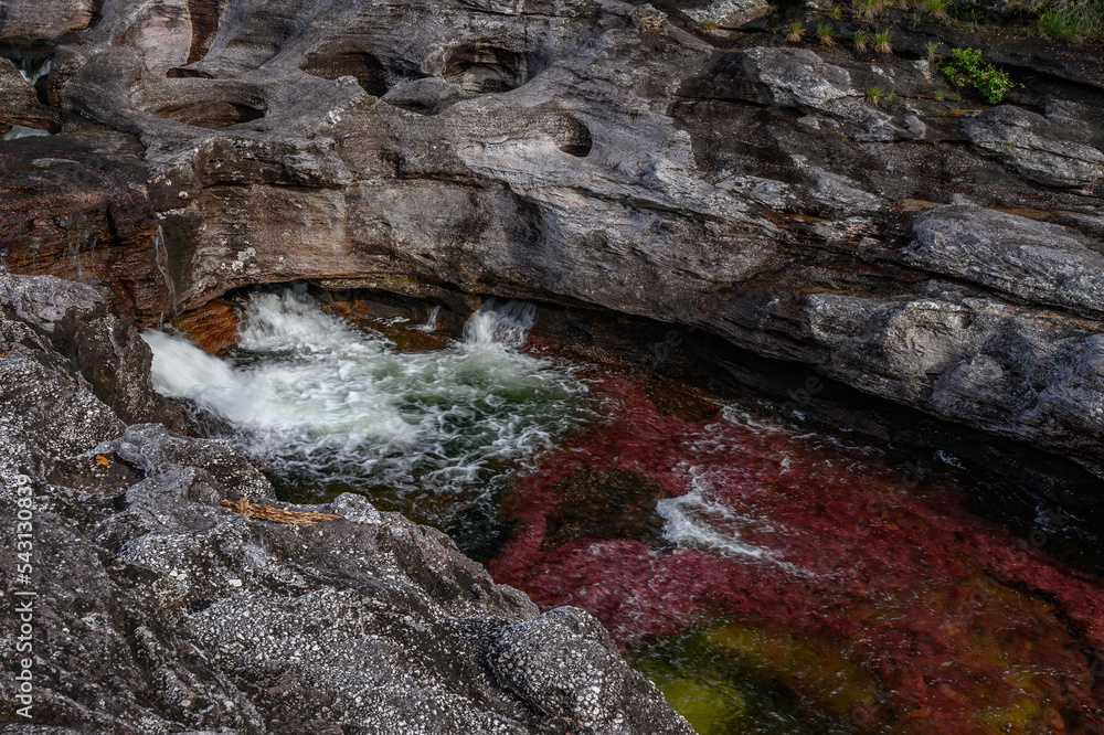 The rainbow river or five colors river is in Colombia one of the most ...