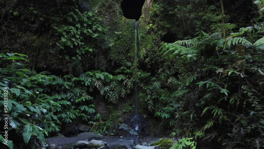 Walking Through Green Jungle between Wet Plants and Waterfall View ...