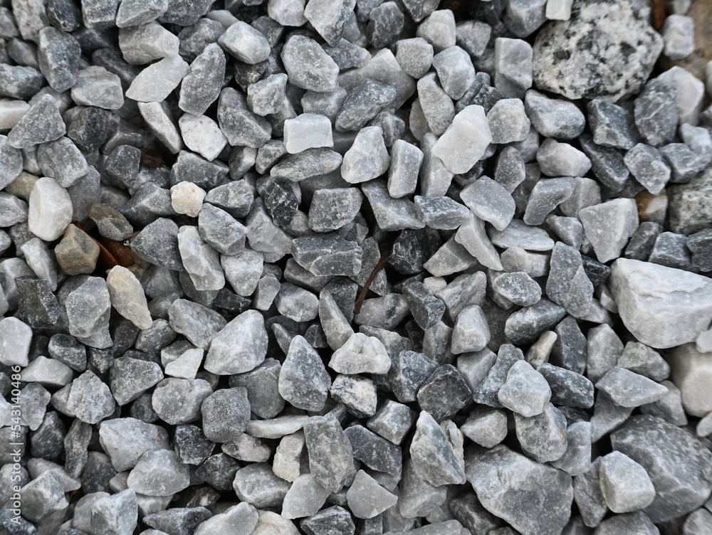 Fondo con detalle y textura de multitud de piedras de tonos grises en ...