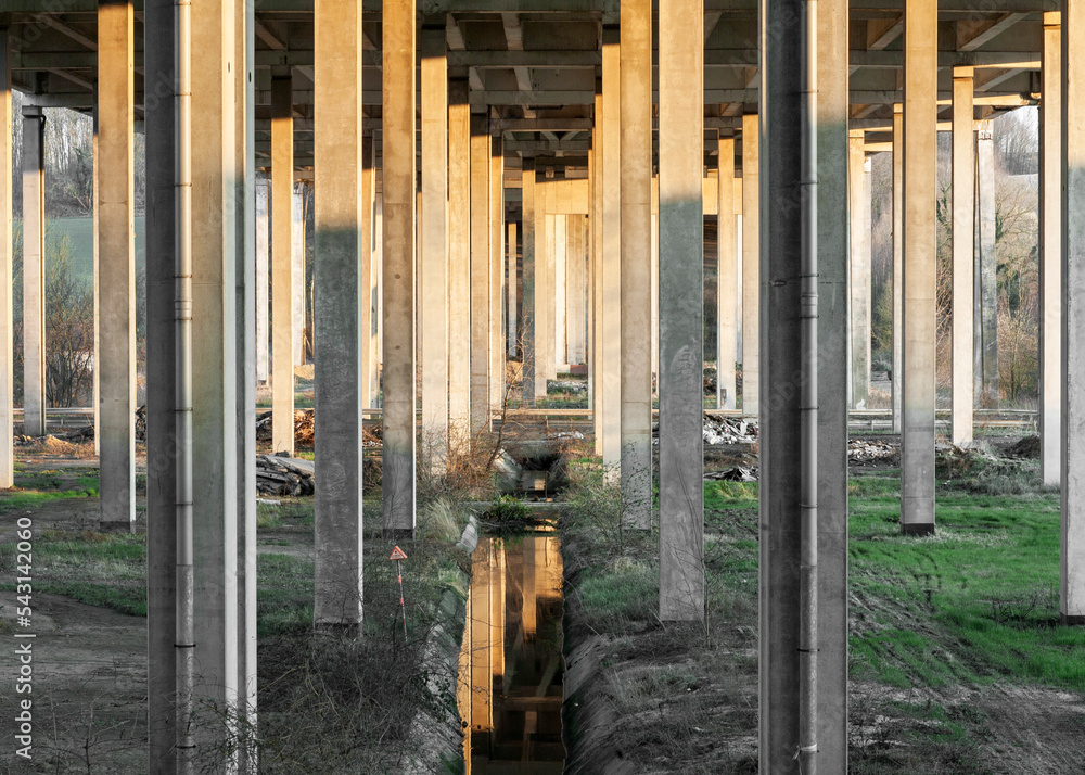 Sotto il ponte con i suoi pilastri. Stock Illustration | Adobe Stock