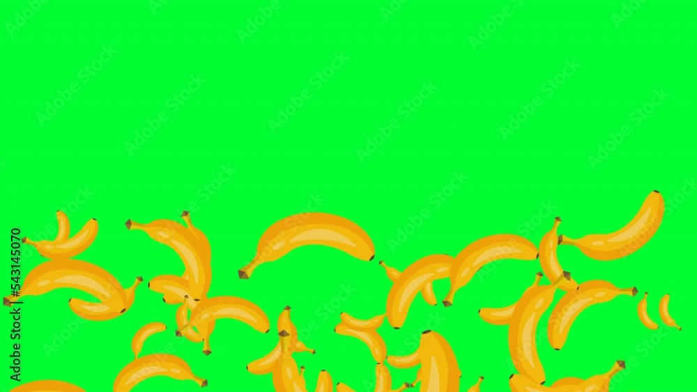Falling Down Bananas On Green Screen Animation 4k Flying Of Bananas Falling Down Bananas On Green Screen Animation 4k Flying Of Bananas