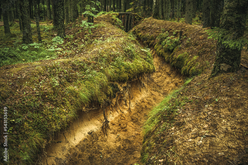 The trench was dug in the forest for defense. Trenches in the green ...