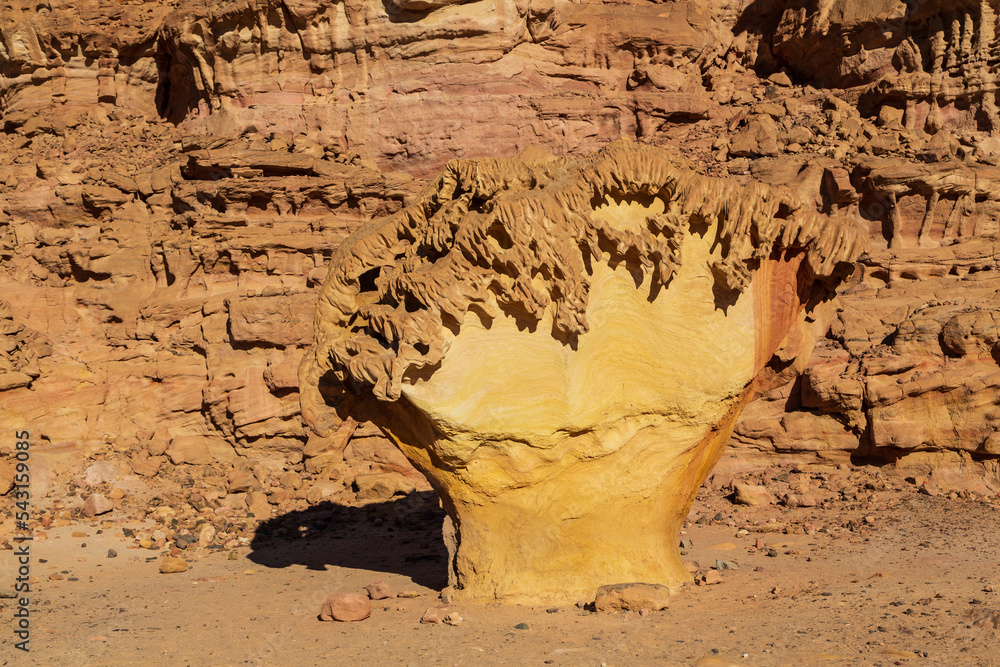 Mushroom rock nor far from White Canyon in Sinai desert. Sinai ...