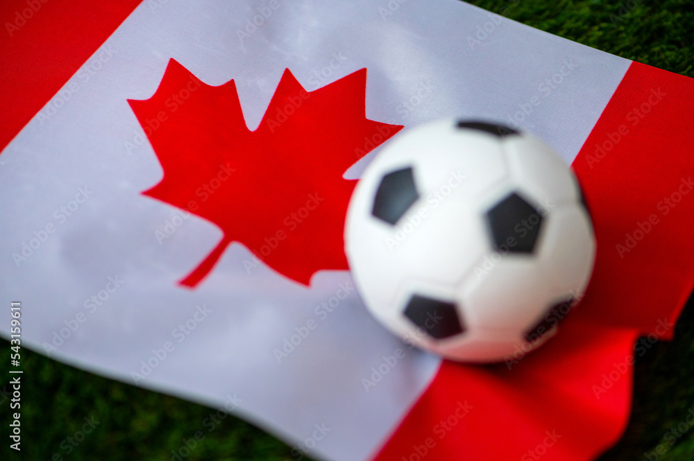 Canada national football team. National Flag on green grass and soccer ...