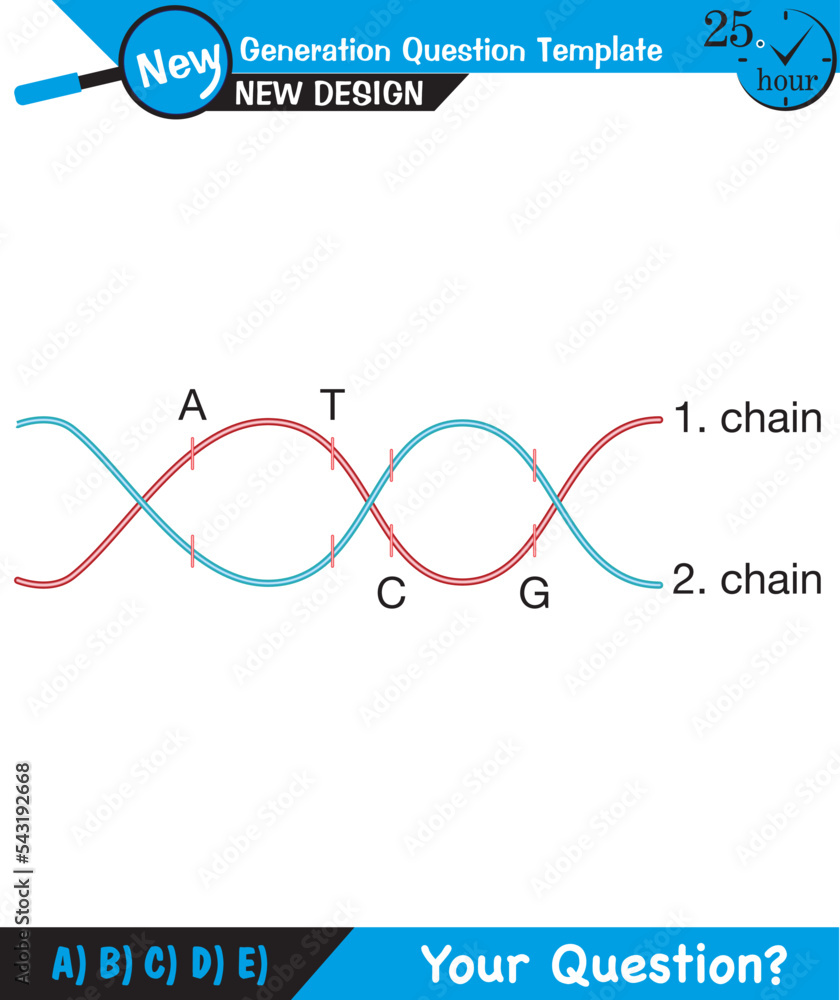 Biology, DNA helix, DNA replication, next generation question template ...