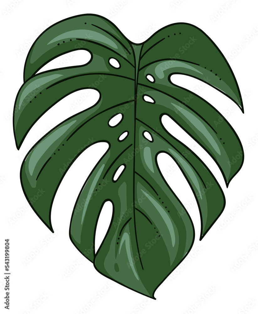 PNG transparent green cartoon monstera leaf isolated Stock Illustration ...