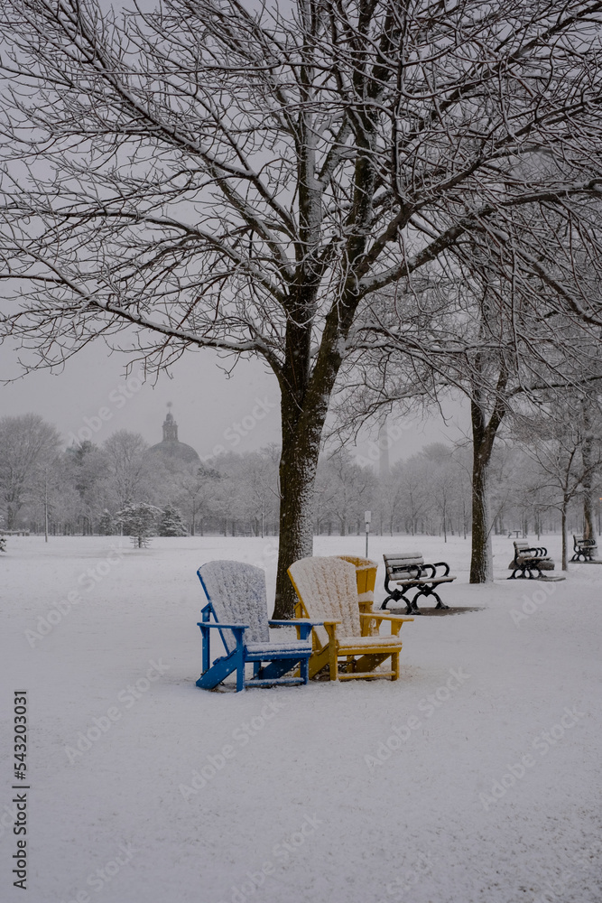 Colorful bright Muskoka adirondack wooden chairs in city park in heavy ...