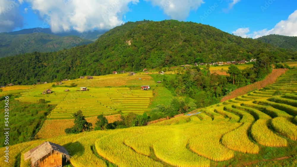 Aerial view over the beautiful rice terraces (Pa pong piang rice ...