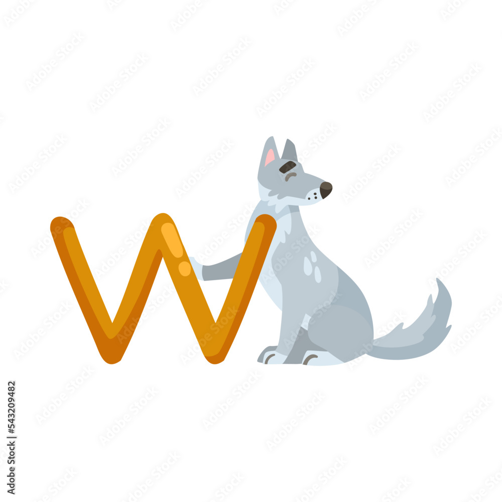 Wolf character with alphabet letter w vector illustration. Cute comic ...