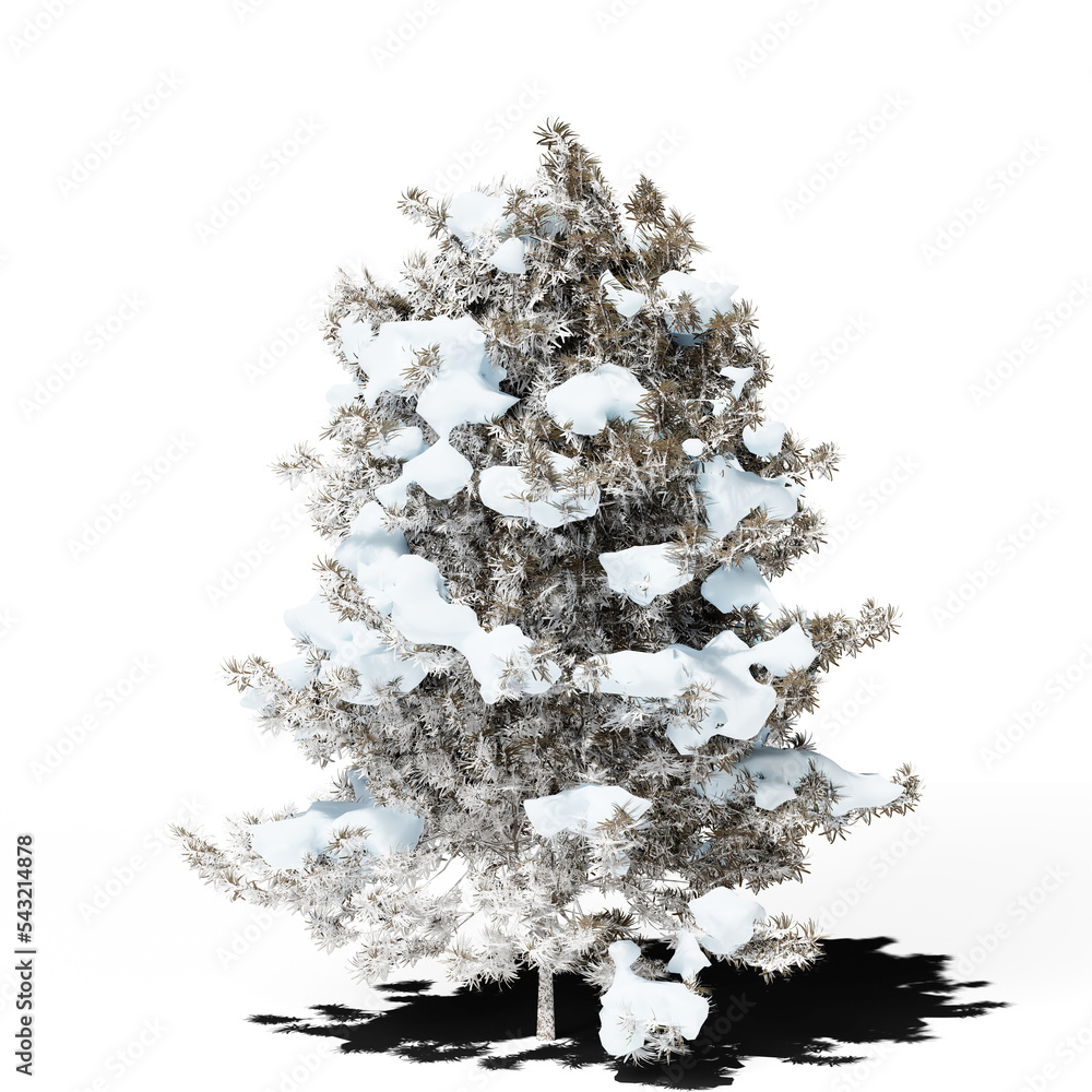 Yew tree in winter with show. Hi-res, photorealistic 3d render for ...