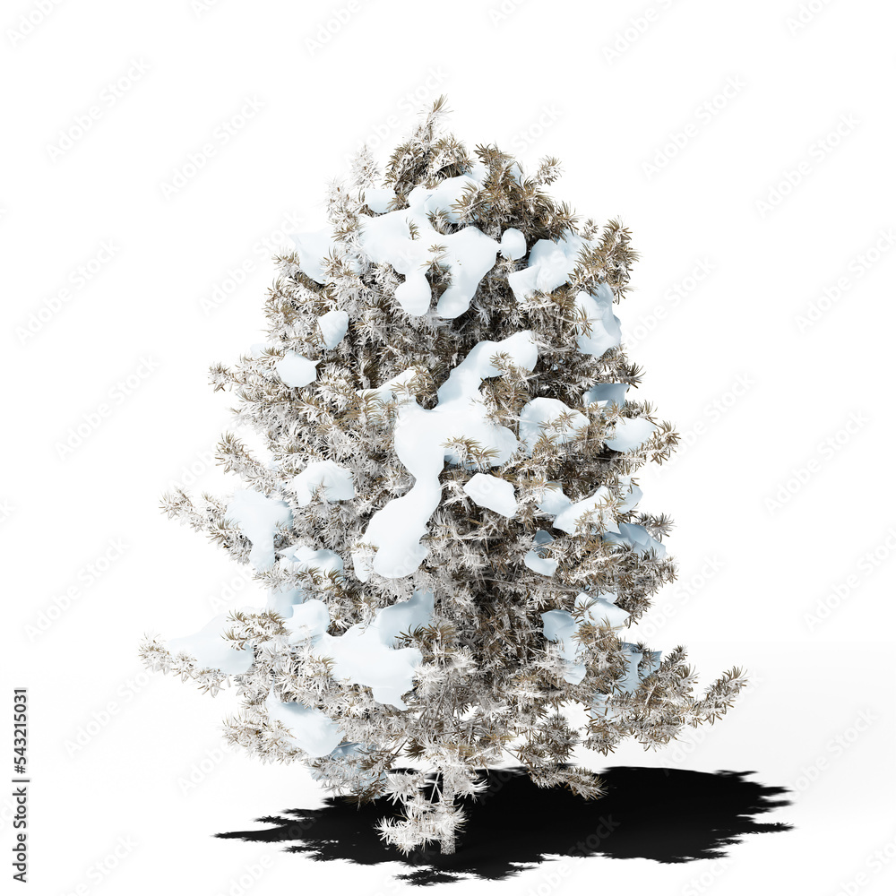 Yew tree in winter with show. Hi-res, photorealistic 3d render for ...