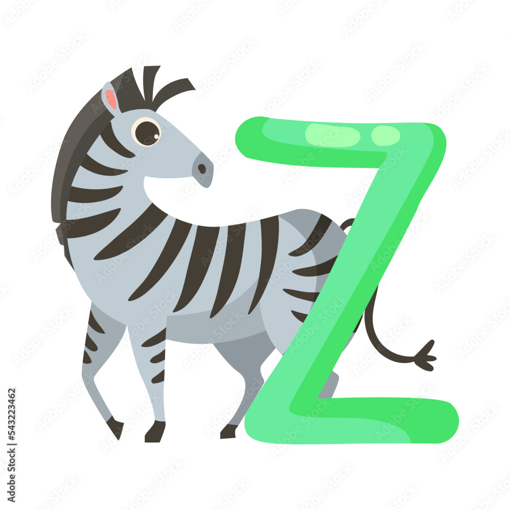 Zebra character with alphabet letter z vector illustration. Cute comic ...