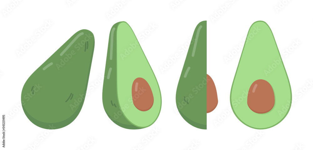 Different views of avocado vector illustrations set. Side and front ...