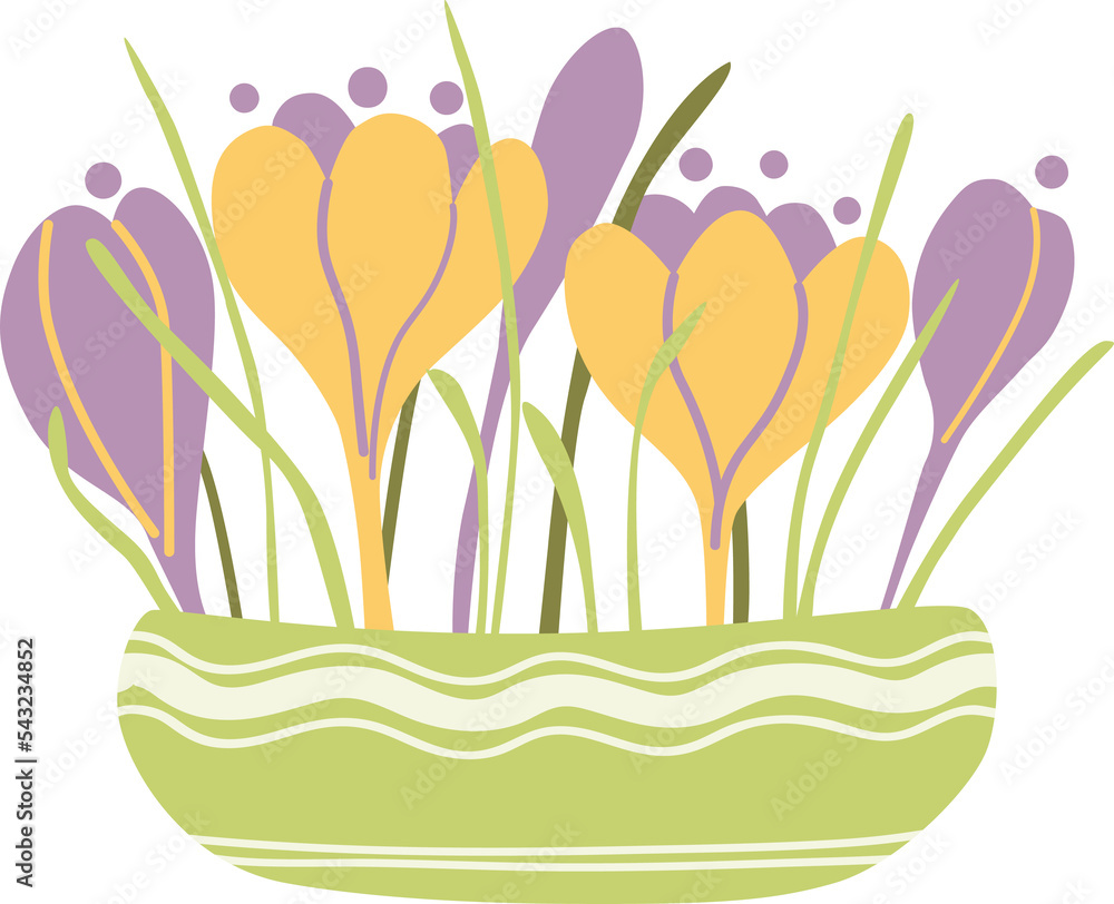 PNG, transparent Spring bulb flowers crocus decorative hand drawn ...
