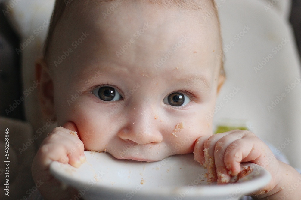Baby boy biting plate portrait Stock Photo | Adobe Stock