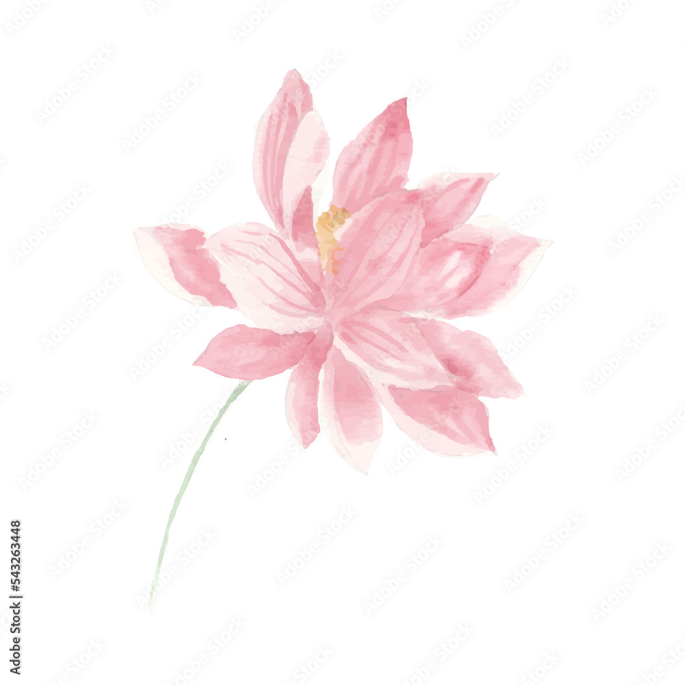 Flowers,leaf Png Format With Transparent Background Stock Illustration ...