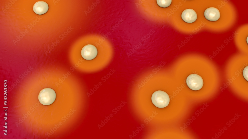 Bacteria Staphylococcus aureus, 3D illustration Stock Illustration ...