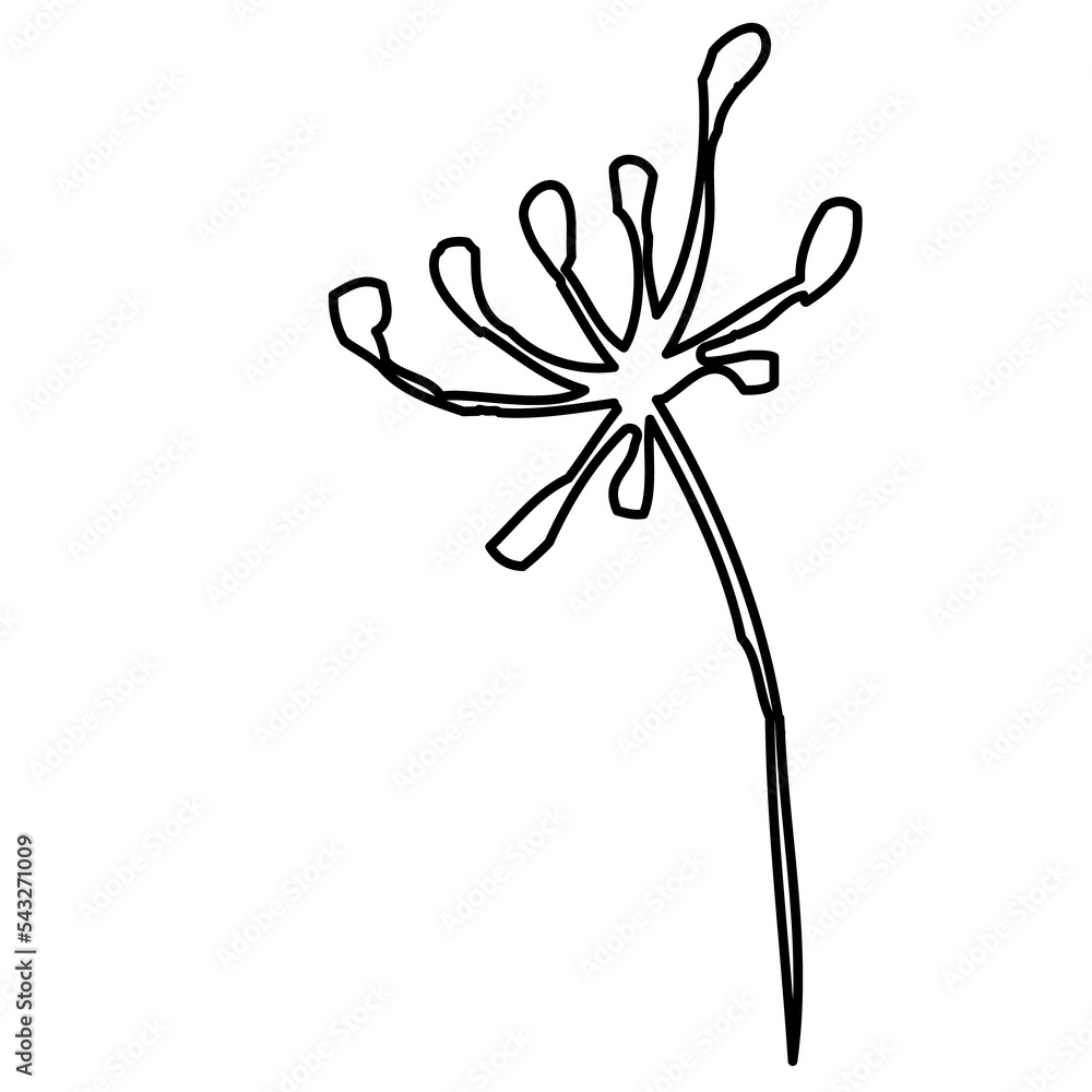 Dried Flower. Stetch Drawing Outline Floral Botanical Illustration ...