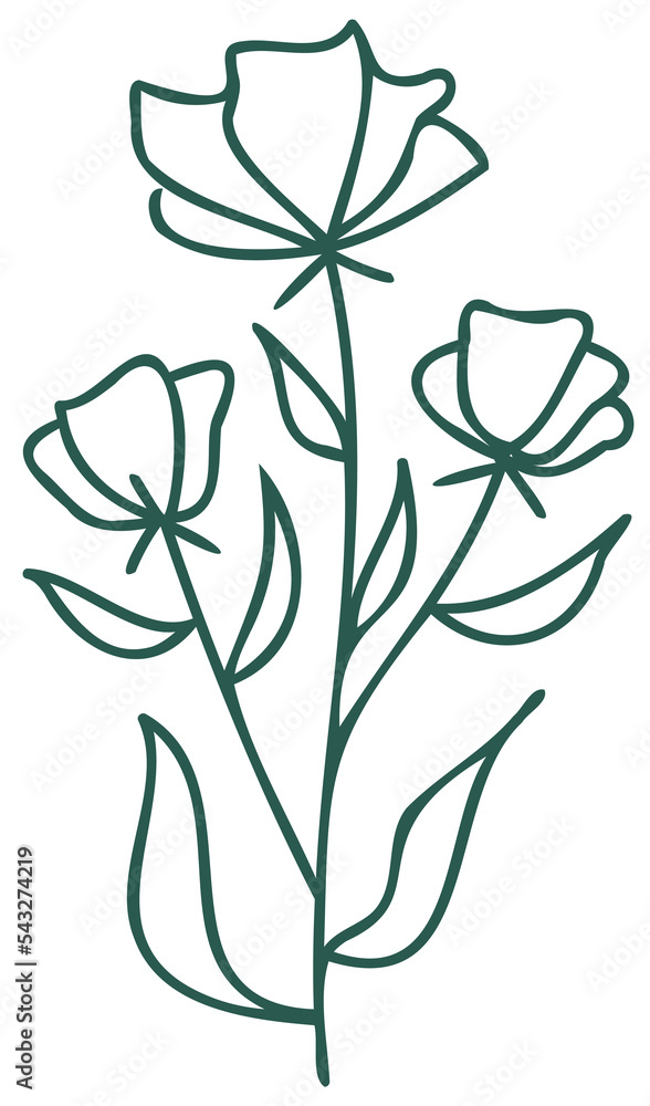 Floral line art linear botanical design element. Flower drawings with ...
