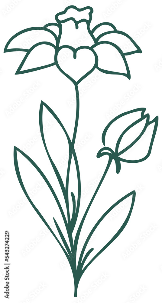 Floral line art linear botanical design element. Flower drawings with ...