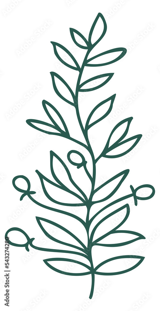 Floral line art linear botanical design element. Flower drawings with ...