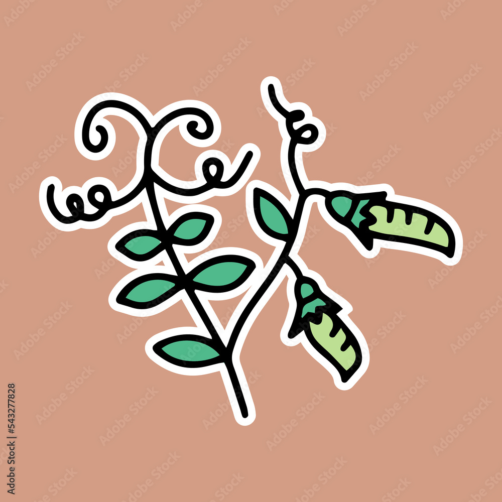 cartoon, pea, bean, sprout, bush, natural, nature, botany, cute, autumn ...