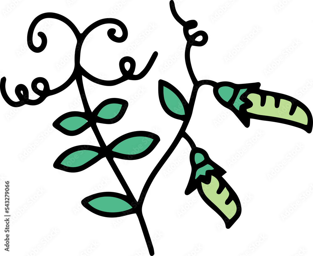 cartoon, pea, bean, sprout, bush, natural, nature, botany, cute, autumn ...