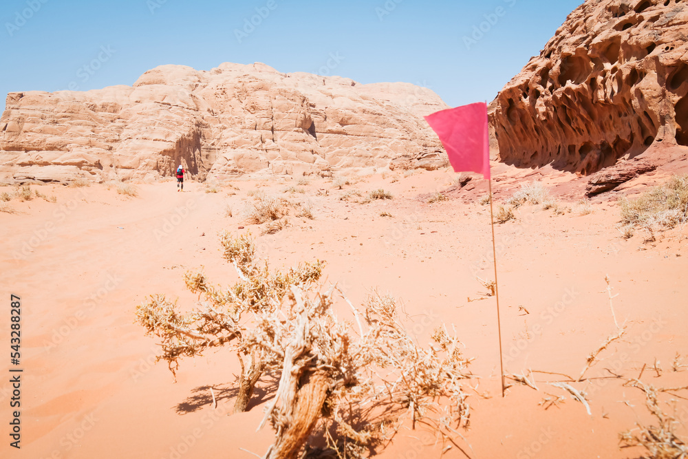 Wadi rum, Jordan - 5th October, 2022: Athlete competitors fast walk in ...