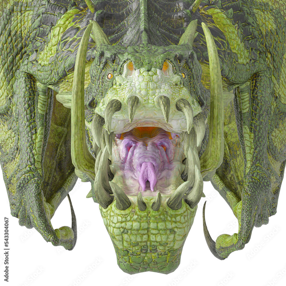 dragon id picture on white background close up front view Stock ...