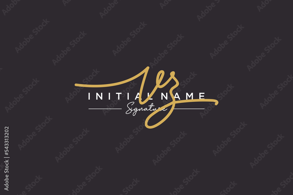 Initial VZ signature logo template vector. Hand drawn Calligraphy ...