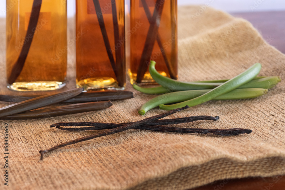 Vanilla pods of various stages of production, fresh and dried Vanilla ...