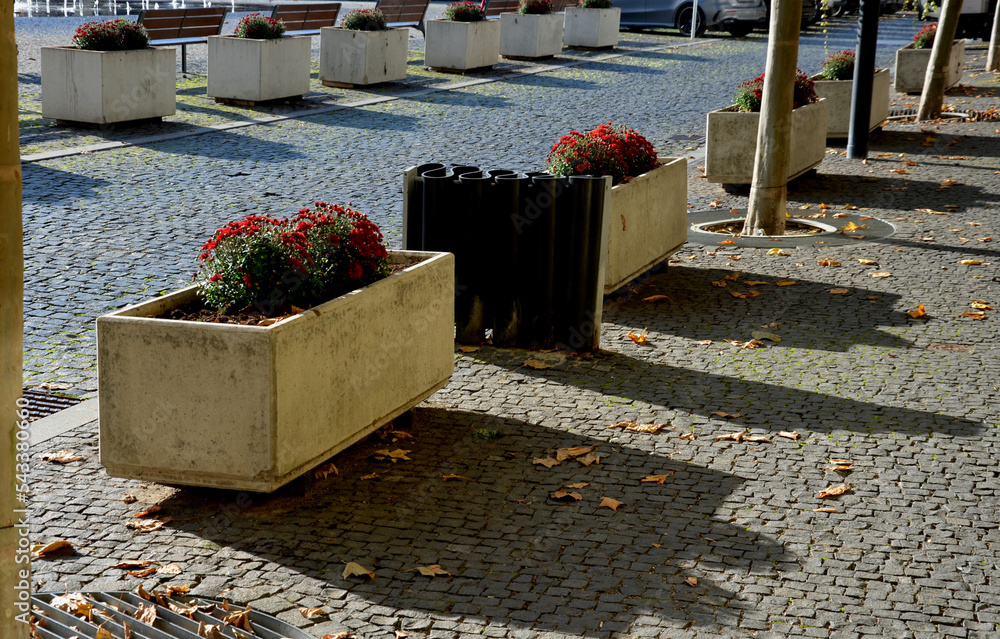 perennial flower beds with annual plantations on the edge of parking in ...