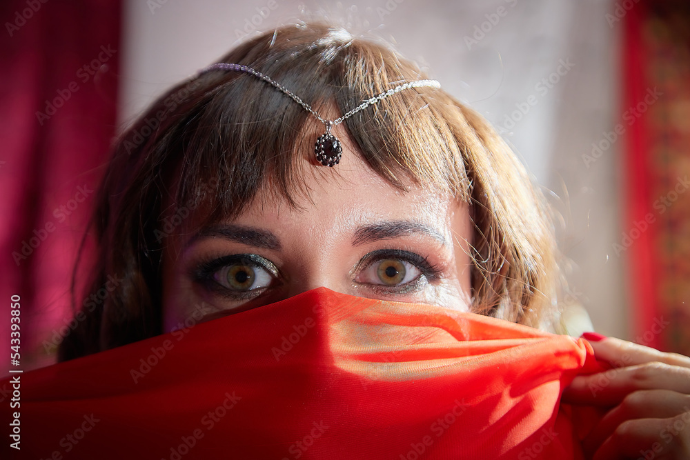 Portrait of arabian girl or woman in red room with rich fabrics and ...
