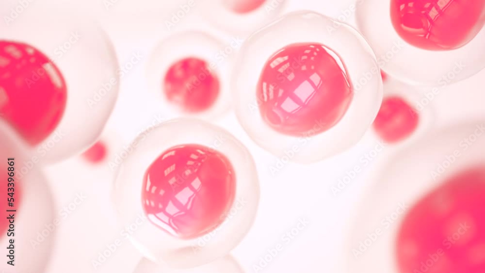 Cell division. Cells dividing under the microscope. Cloning cells ...