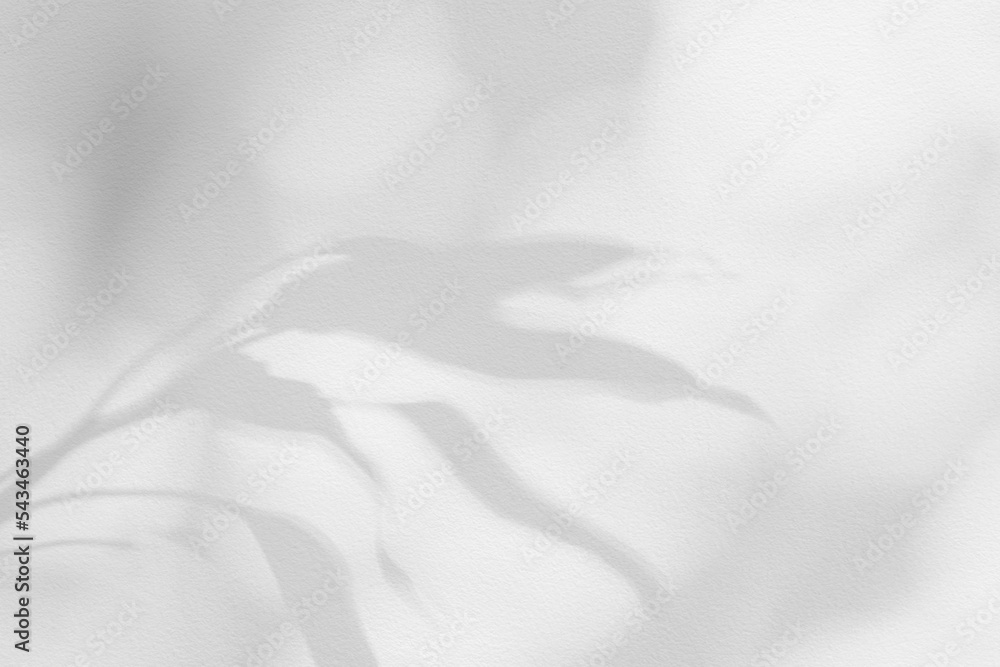 Shadow and sunshine of leaves reflection. Jungle gray darkness leaf ...